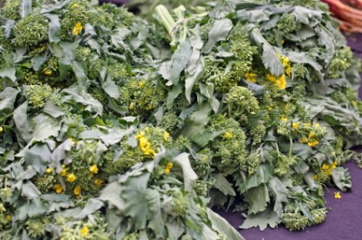 Chicken Recipes: Chicken Breasts with Rapini