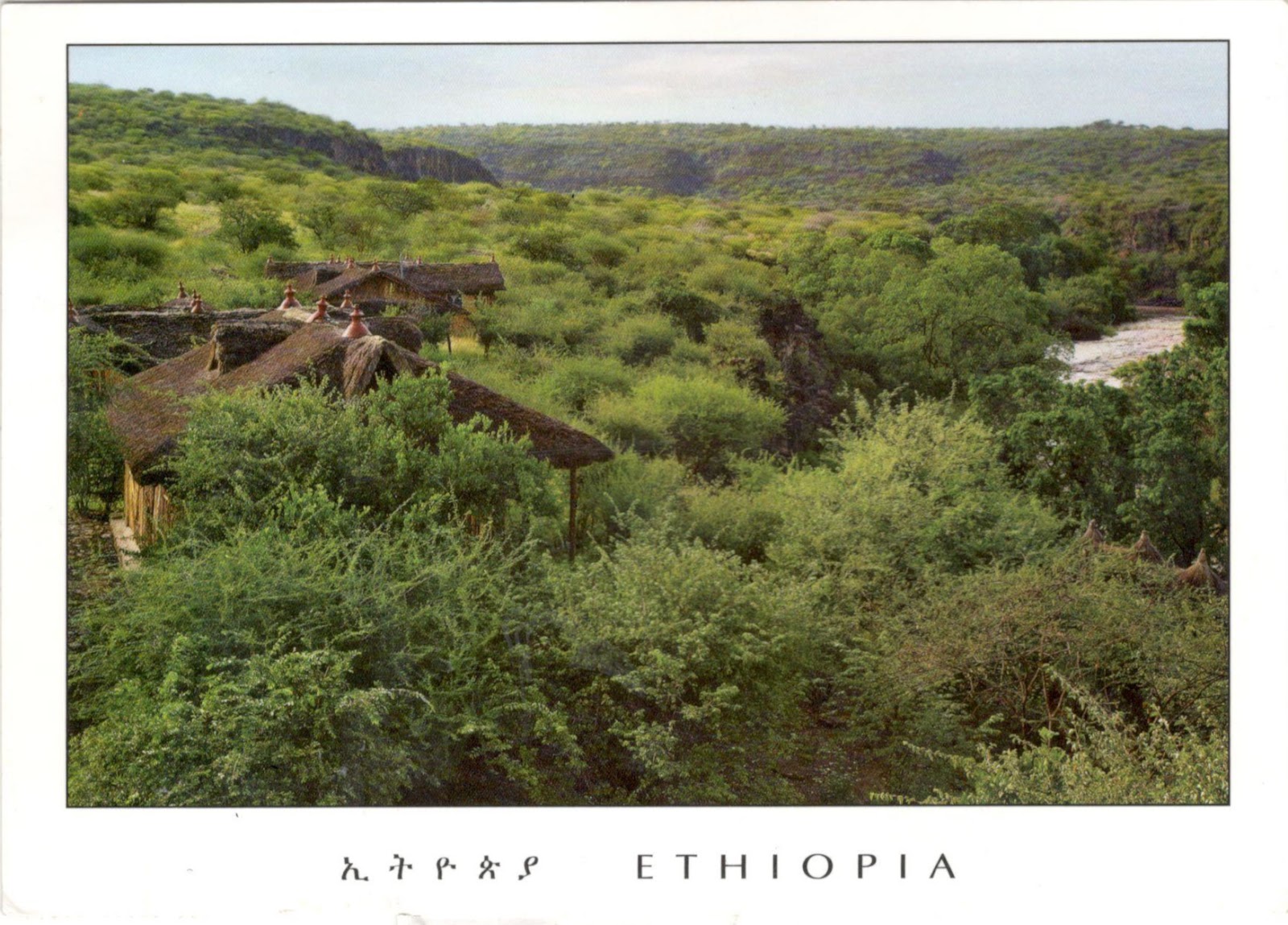 WORLD, COME TO MY HOME!: 3431 ETHIOPIA (Oromia / Afar) - Lower Valley ...