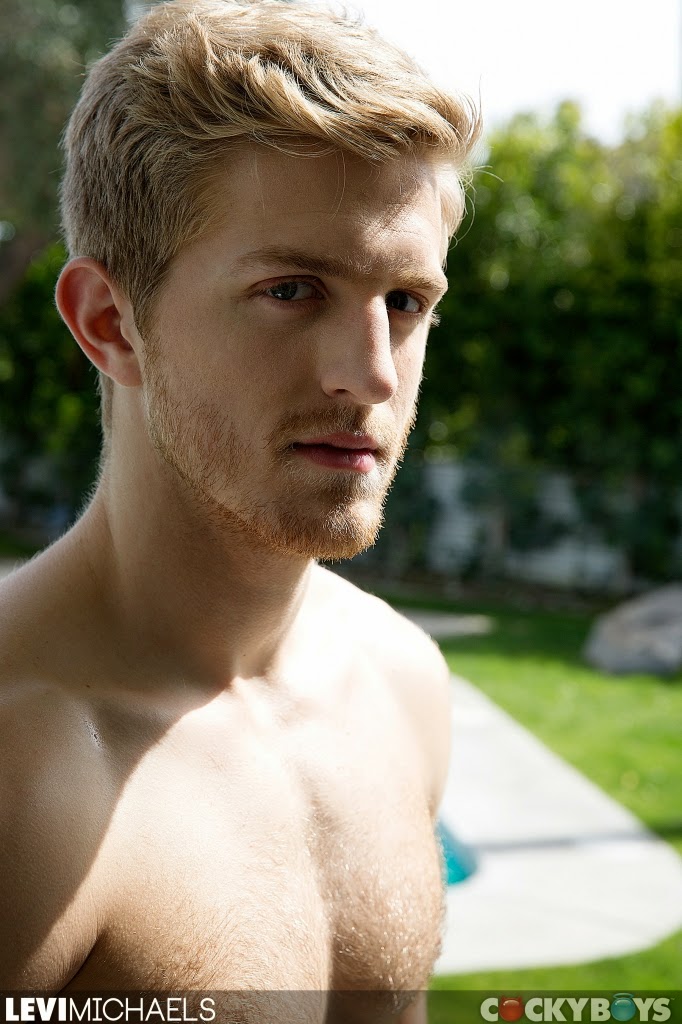 Justgaystuff: levi michaels darius ferdynand