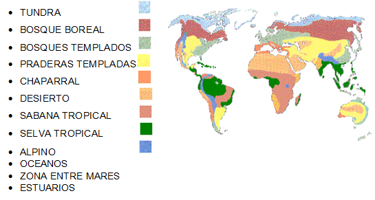 CIENCIAS BÁSICAS & SABER: PRINCIPALES BIOMAS DEL MUNDO