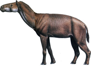 When Europe Was An Ocean: When Europe Was An Ocean