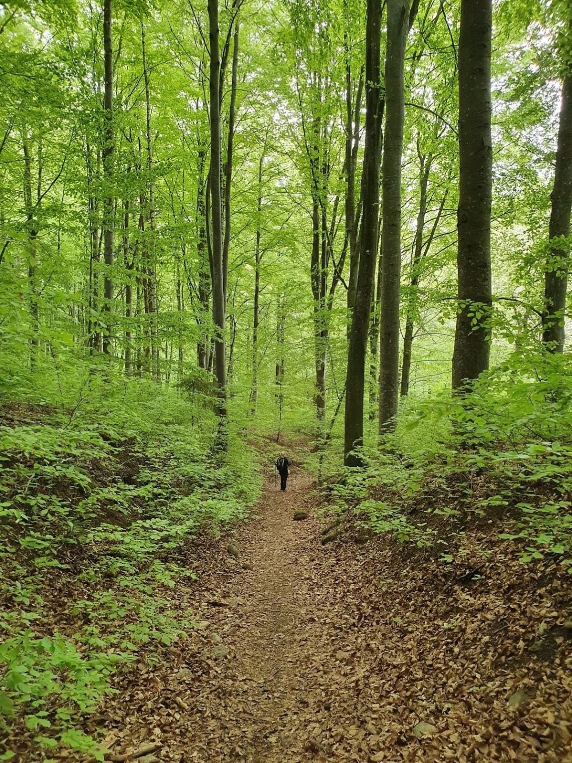 Team Vildmark: Vandring Omberg runt