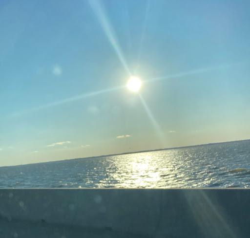 A Catholic Mom climbing the Pillars: The Mass: The RITE to Have Peace!