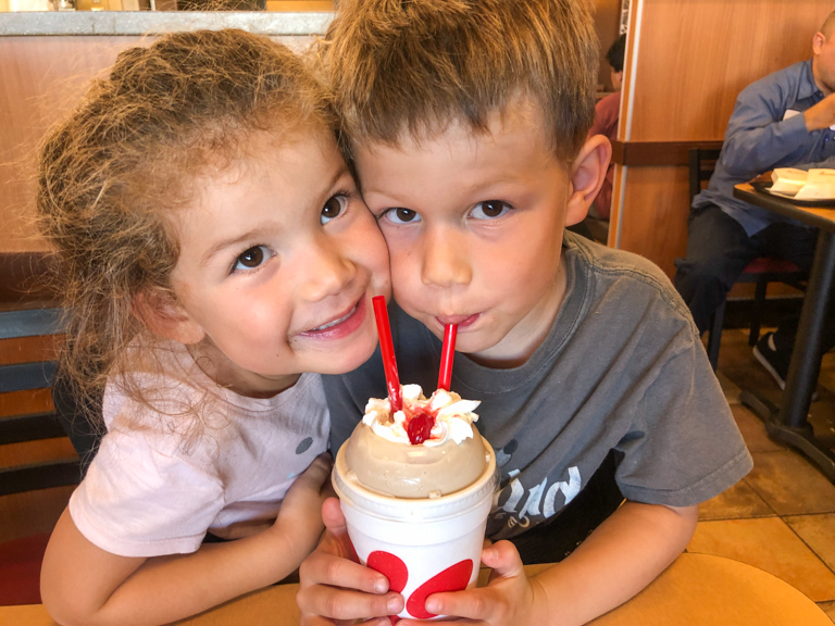 Tales of the Flowers: Happy National Chocolate Milkshake Day ...