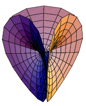 An Exhibition of Minimal Surfaces