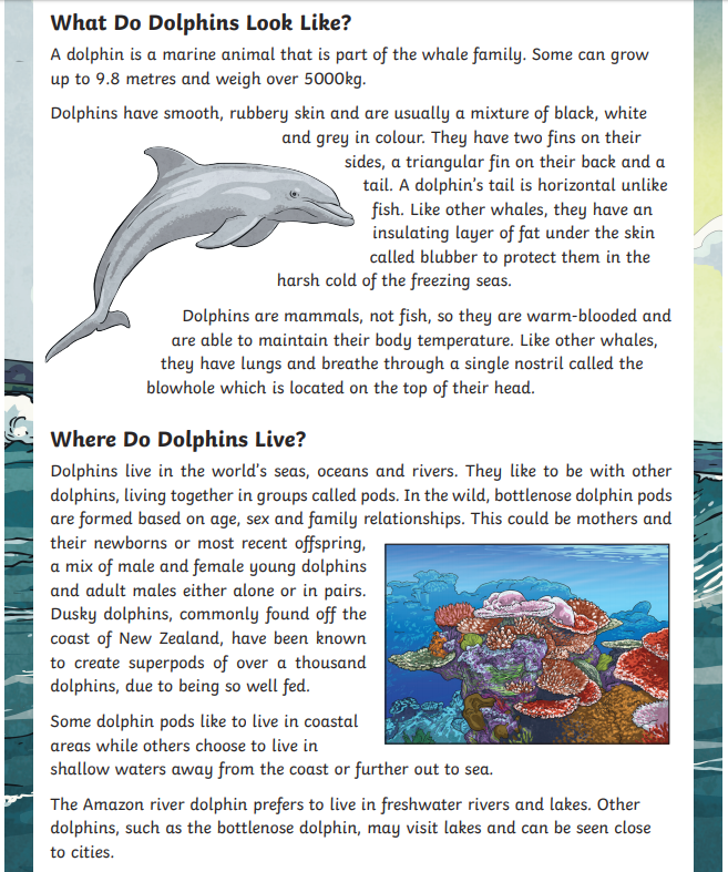 Willow Class: Reading Tuesday 16th June