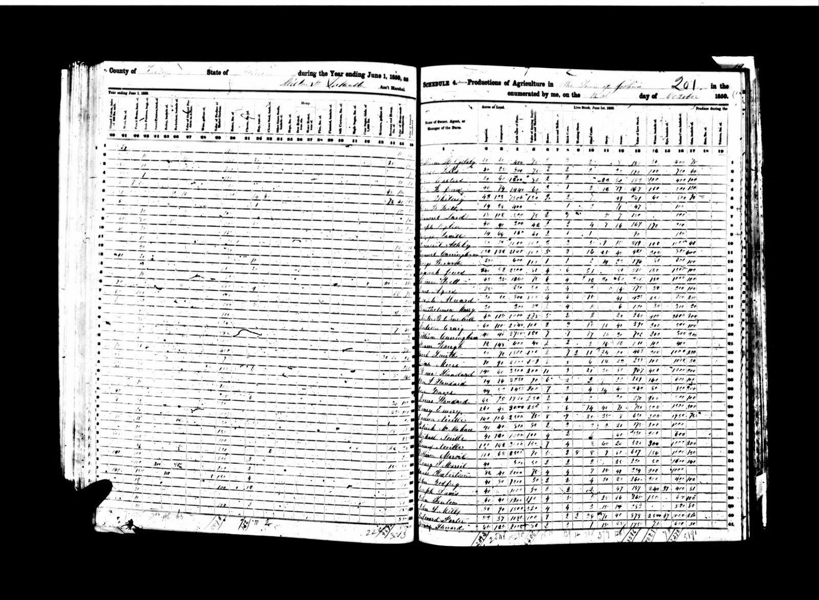 Emery / Daniels Ancestry: 1850 US Non-Population Census
