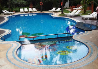 New Home Design Ideas: swimming pools Designs, images, plans, for ...