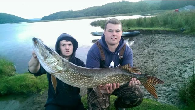 December 2015 Fish of the Month Entry - Loch Awe Pike