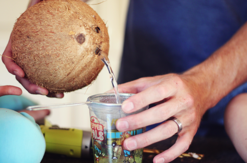 BeccaMarie Designs: How to Prepare a Coconut