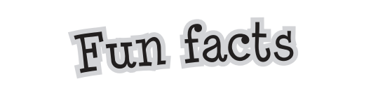 Background information - Fun Facts | Most Interesting Files Collected