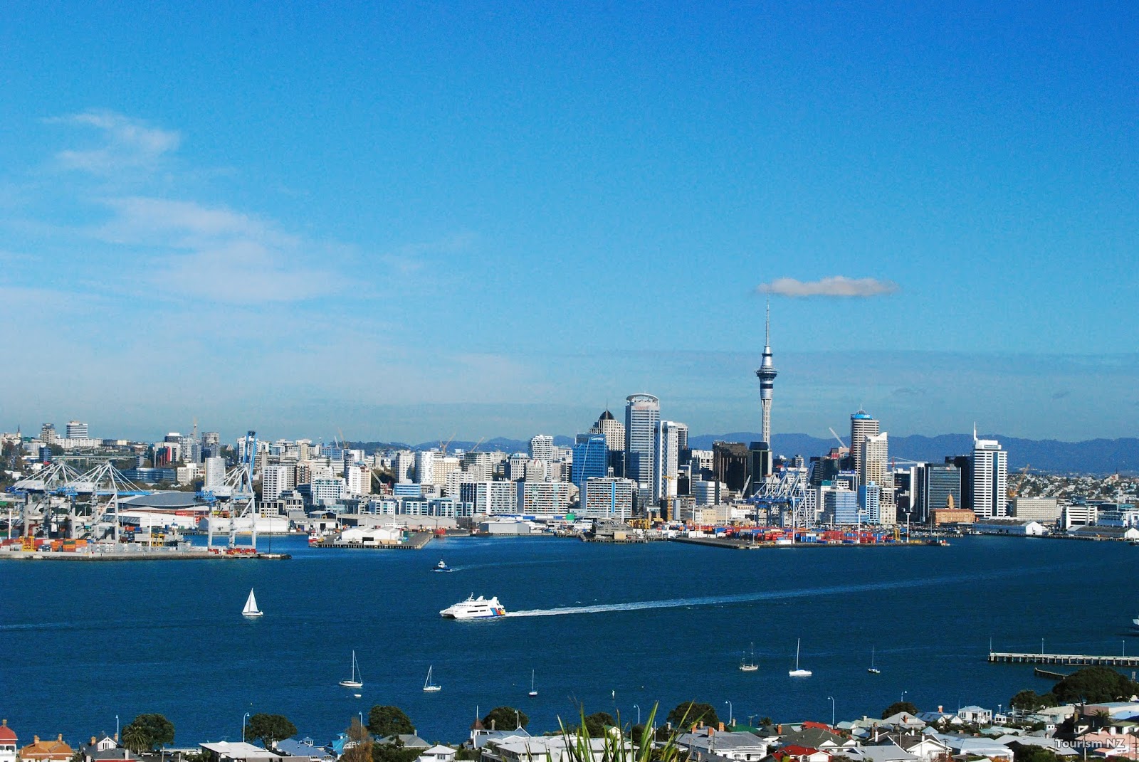 Viliami : Top three fun facts about NZ//New Zealand
