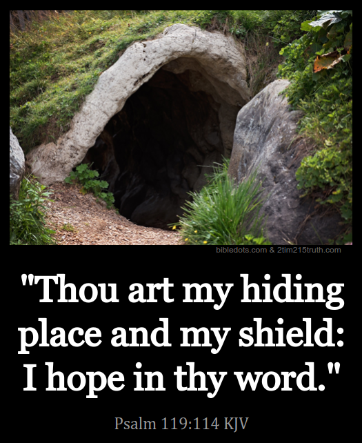 2 Timothy 2 15 Truth Verse Of The Day Psalm 119 114 KJV 2-timothy-2-15-truth-verse-of-the-day-psalm-119-114-kjv