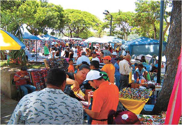 la sapoara del orinoco