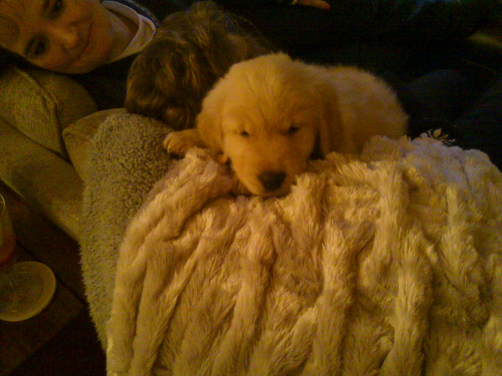 Barers of Maple Valley: Dasher Joins The Family