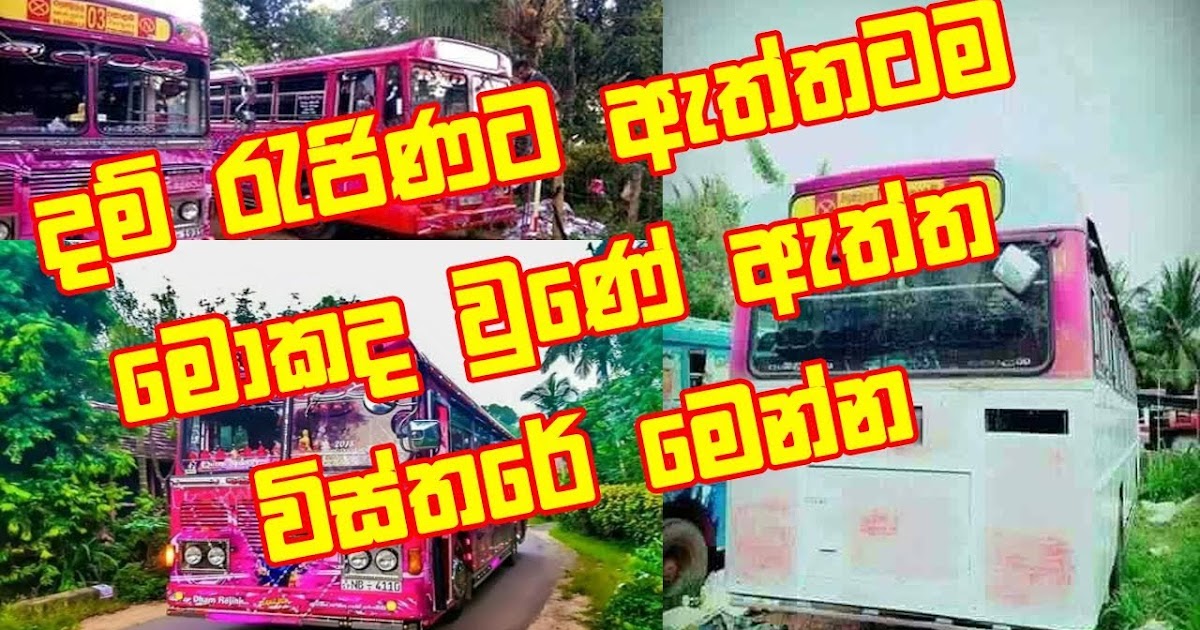 Dam Rajina Bus-දම් රැජිණට ඇත්තටම මොකද වුණේ.. ඇත්ත විස්තරේ මෙන්න ...