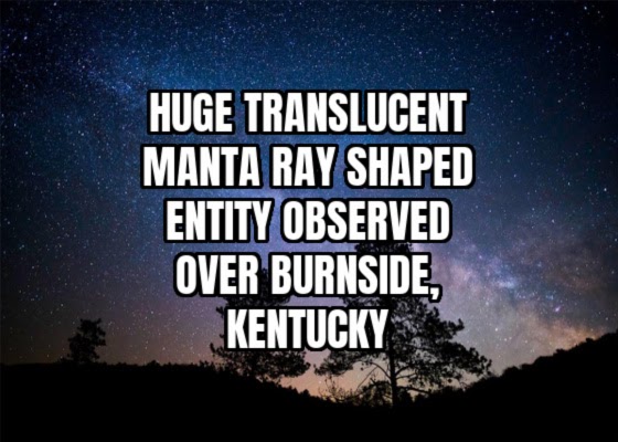 Phantoms and Monsters - Real Eyewitness Cryptid Encounter Reports