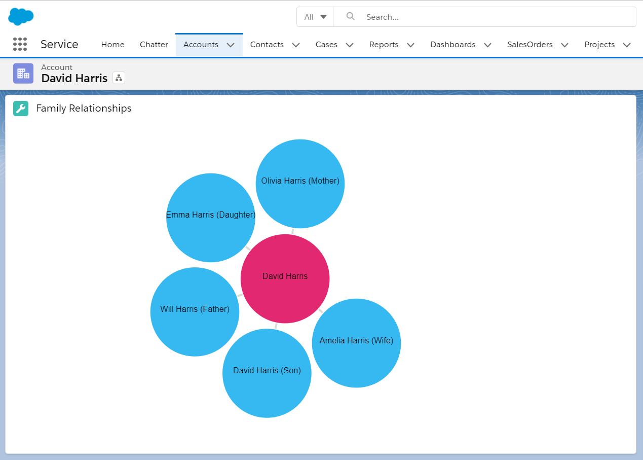 Salesforce Lwc With Third Party Js D3