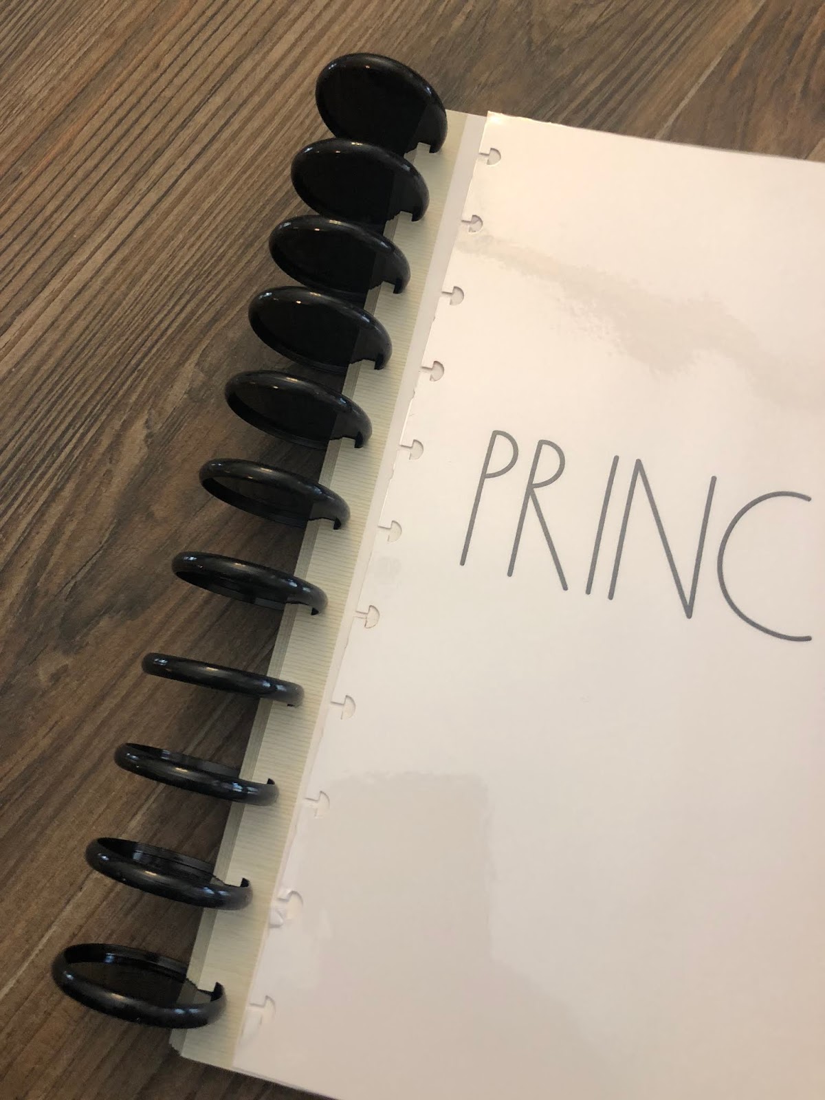 Creating a Disc Binder from Start to Finish - Stephanie McConnell ...