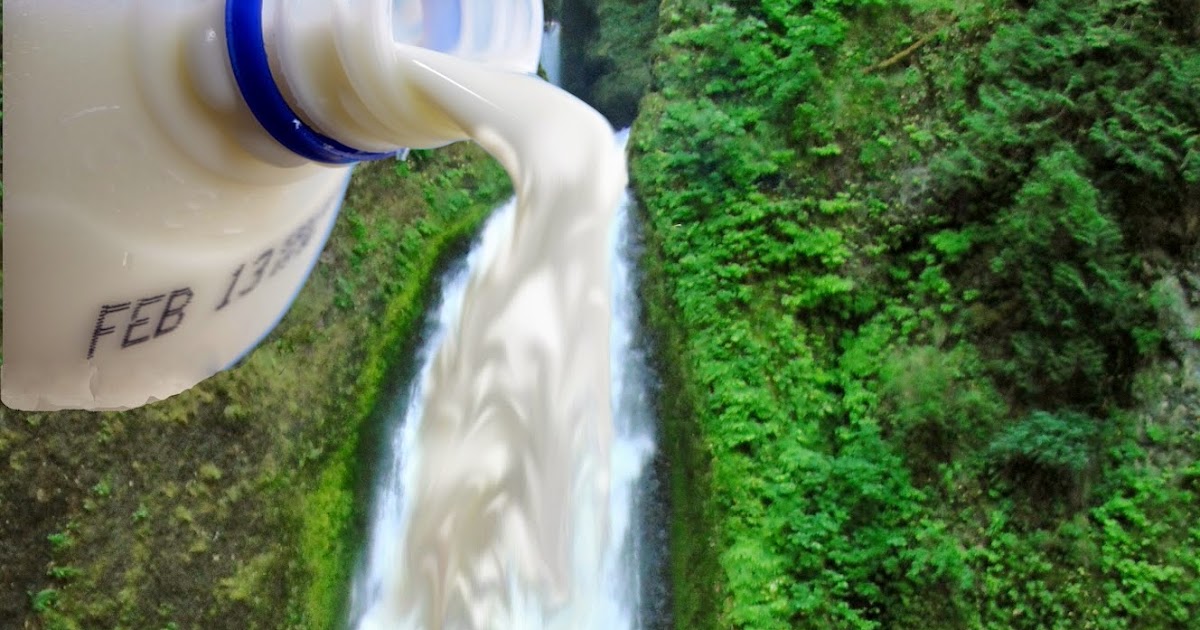 The Viz: The Milk Waterfall
