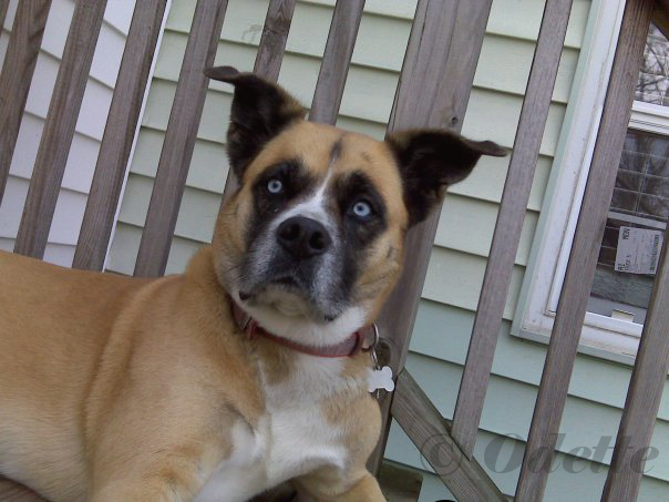 My family-Mi familia