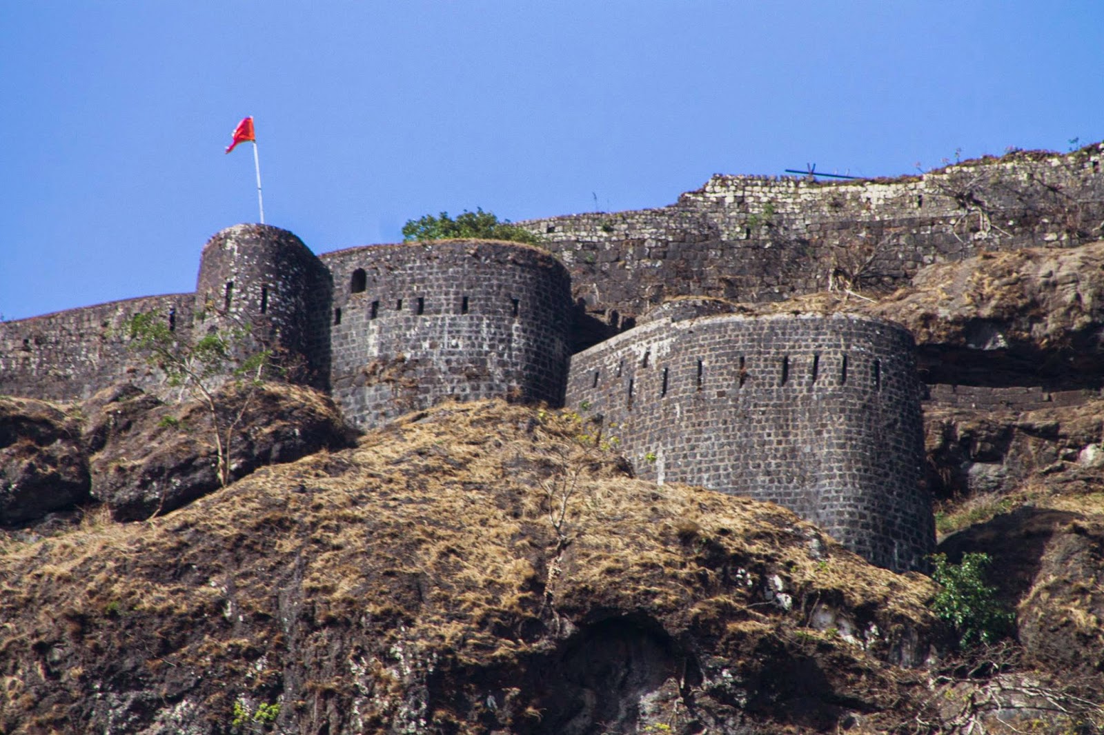 Field Clicks: May 2015