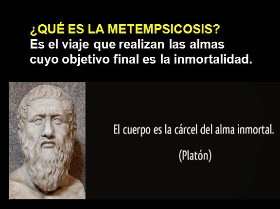 Happy Astral: El Despertar de la Conciencia: ¿QUÉ ES LA METEMPSICOSIS?
