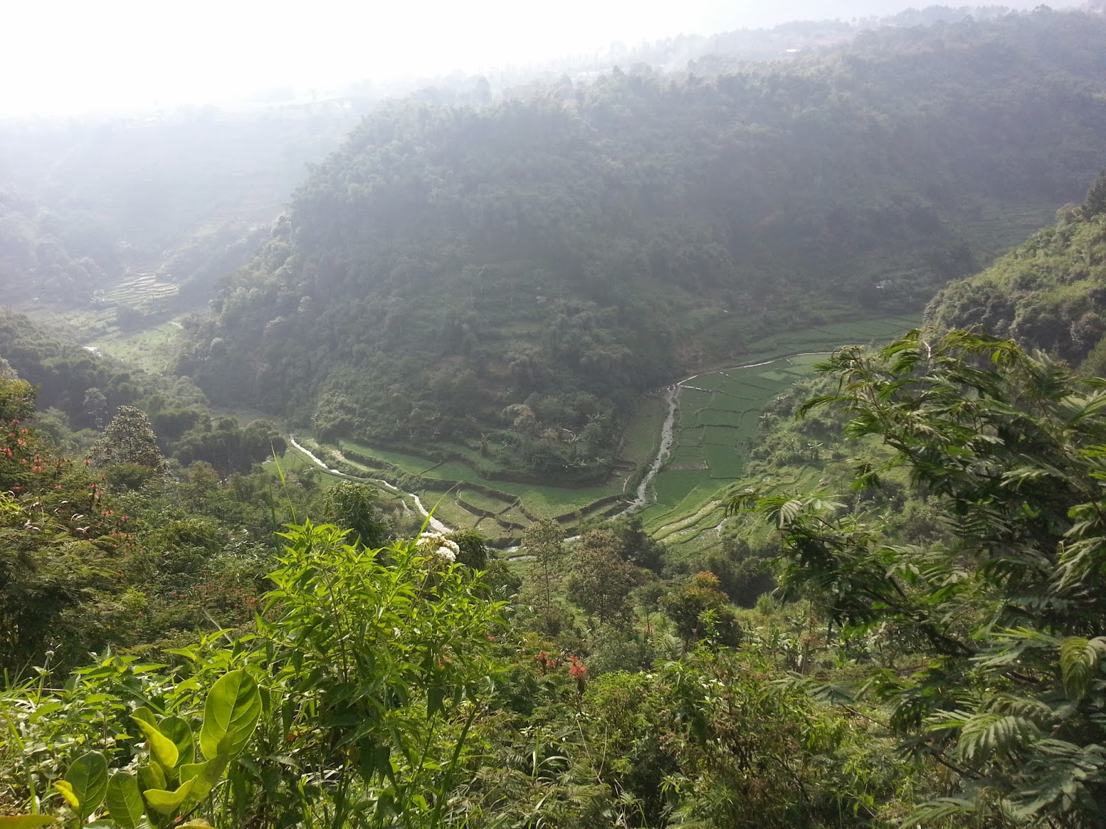 Trekking: Parongpong through Stunning Valley and People's Garden