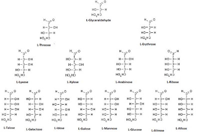 kem korner: Molecular Structures of the Aldoses and the Ketoses