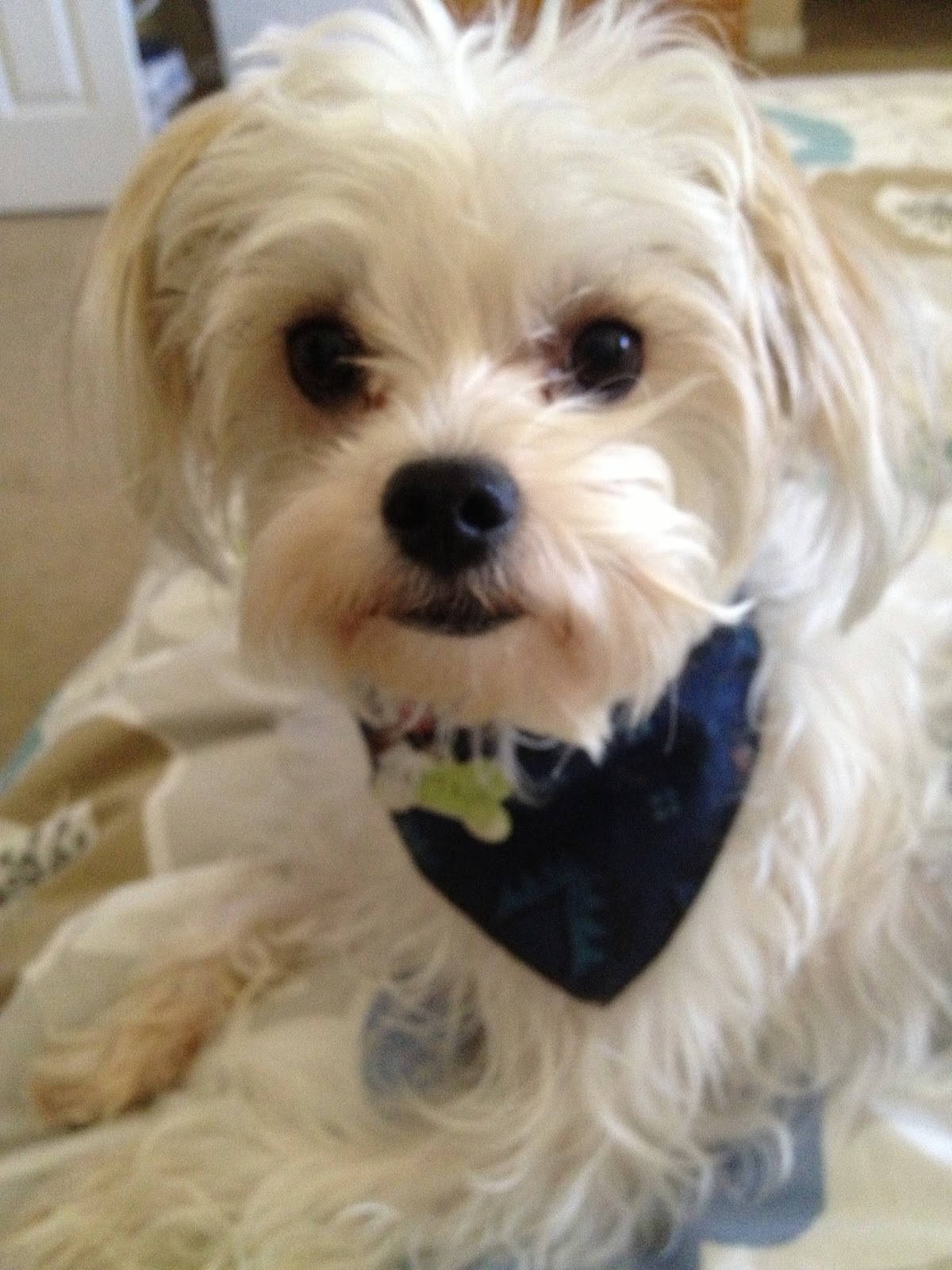 Jem's Natural Living