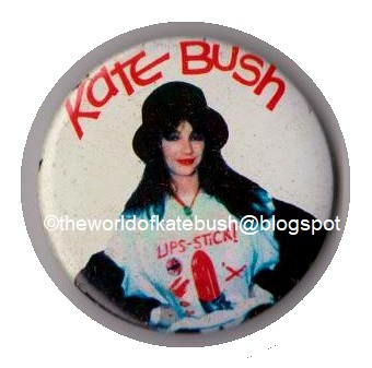 THE WORLD OF KATE BUSH: Badges
