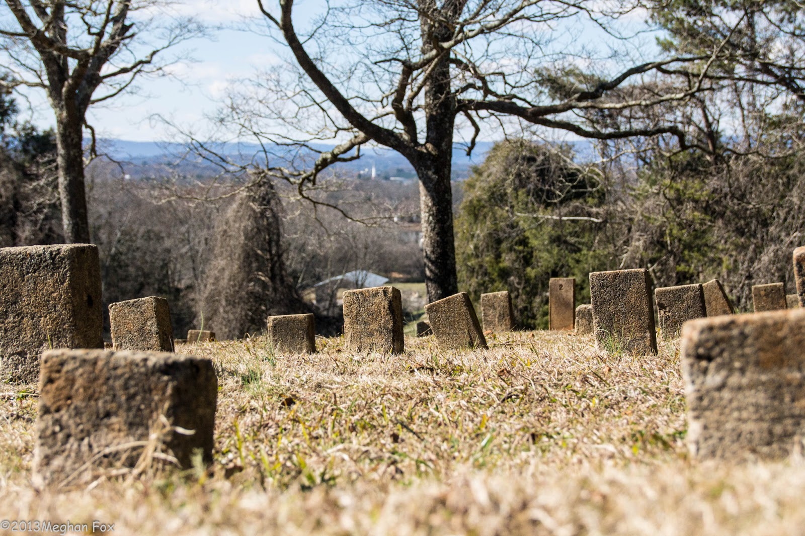 Chattanooga Daily Photo: Potter's Field