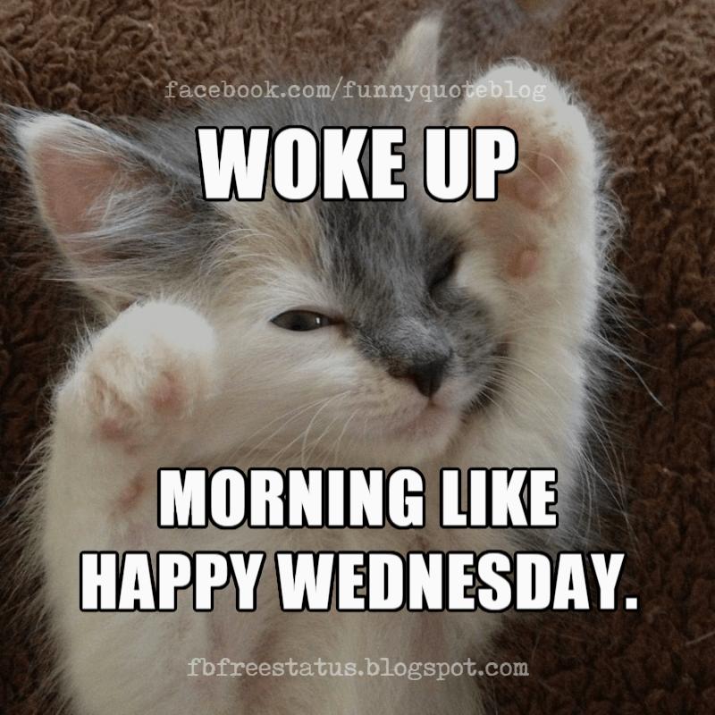 Funny Wednesday Meme Images Pictures And Photos funny-wednesday-meme-images-pictures-and-photos