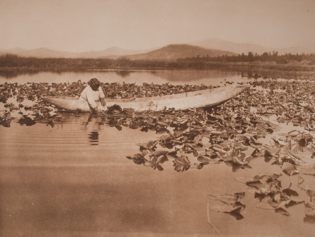 50 Incredible Pictures Show Everyday Life of Native American People ...