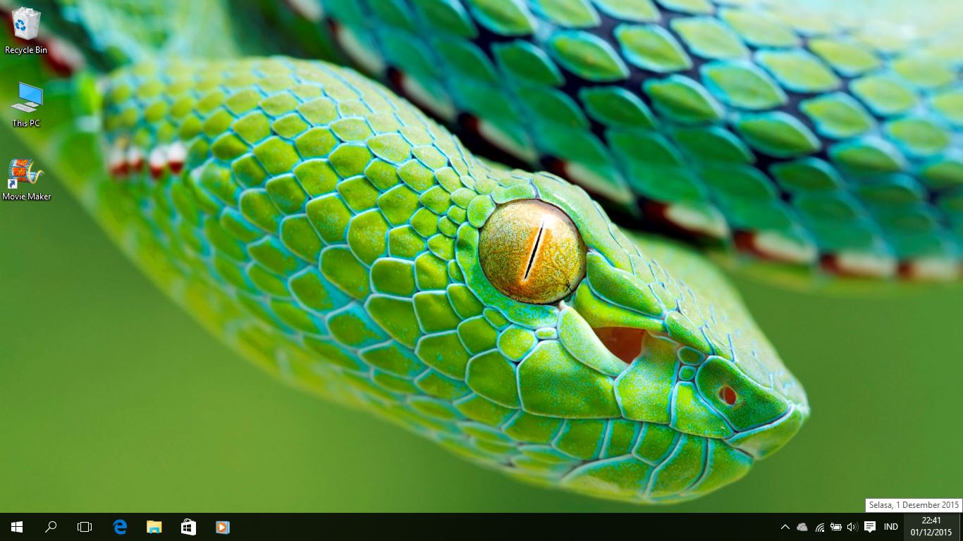 Snakes Theme For Windows 7/8/8.1 And 10 - Save Themes