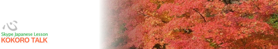 Tidbits of Japan - Skype Japanese Lesson Kokoro Talk: 丼物(どんぶりもの ...