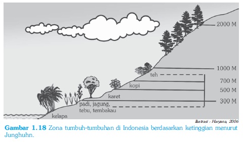 The Other Story: Persebaran Tumbuhan (Flora) di Indonesia