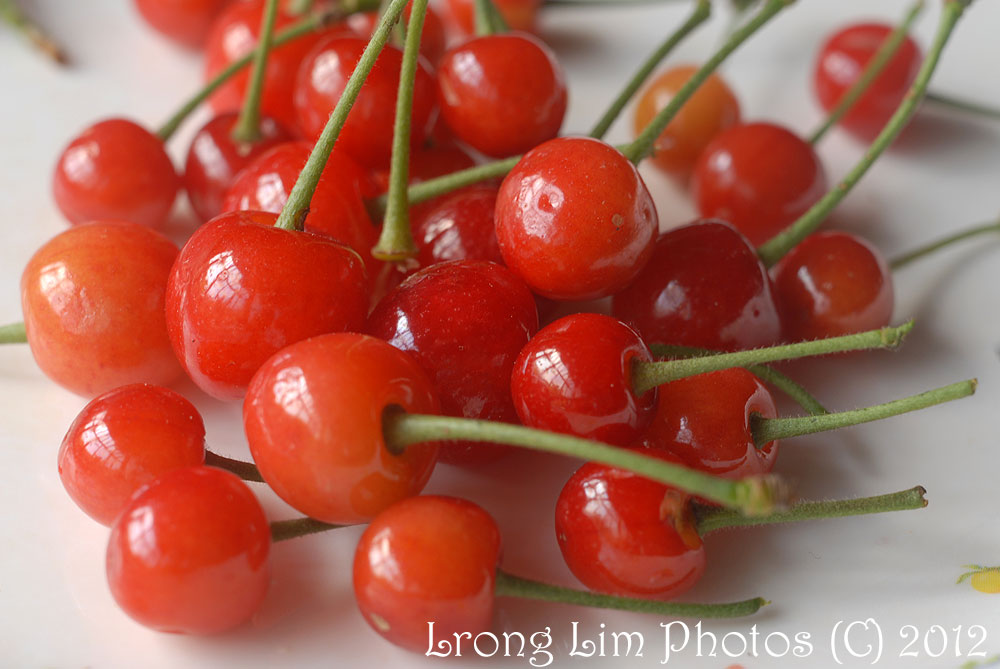 Potager Y @ Japan: Strawberries, corn, sakura cherries...