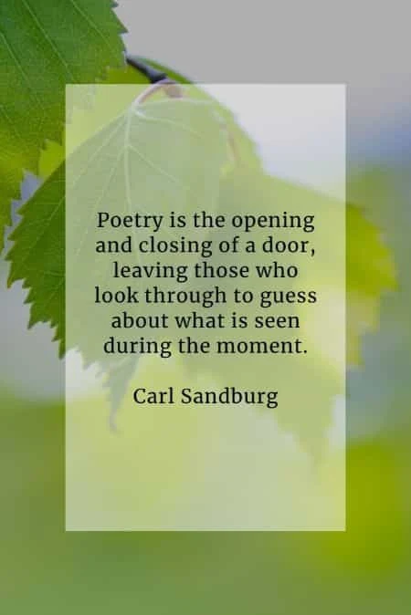 50 Poetry quotes that will inspire your mind and soul