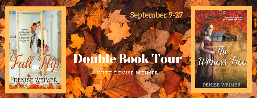 Older & Smarter?: Fall Flip by Denise Weimer – Review & Giveaway