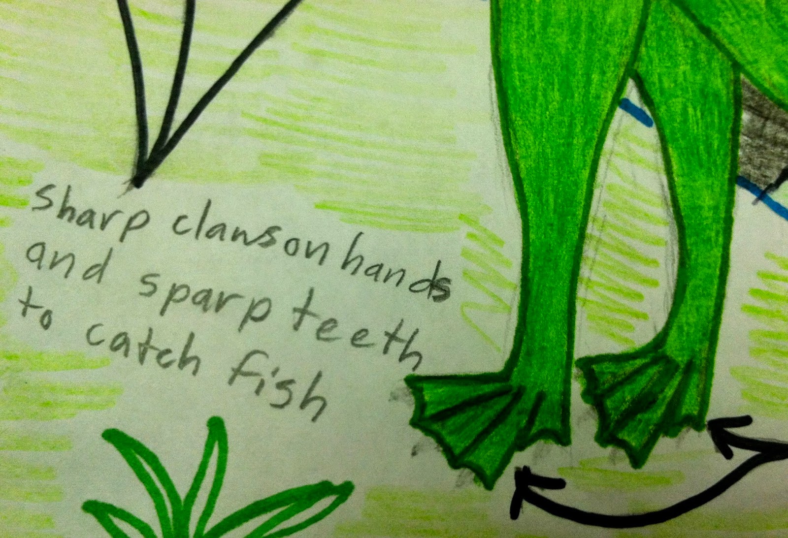 Hello Learning!: Animal Adaptations