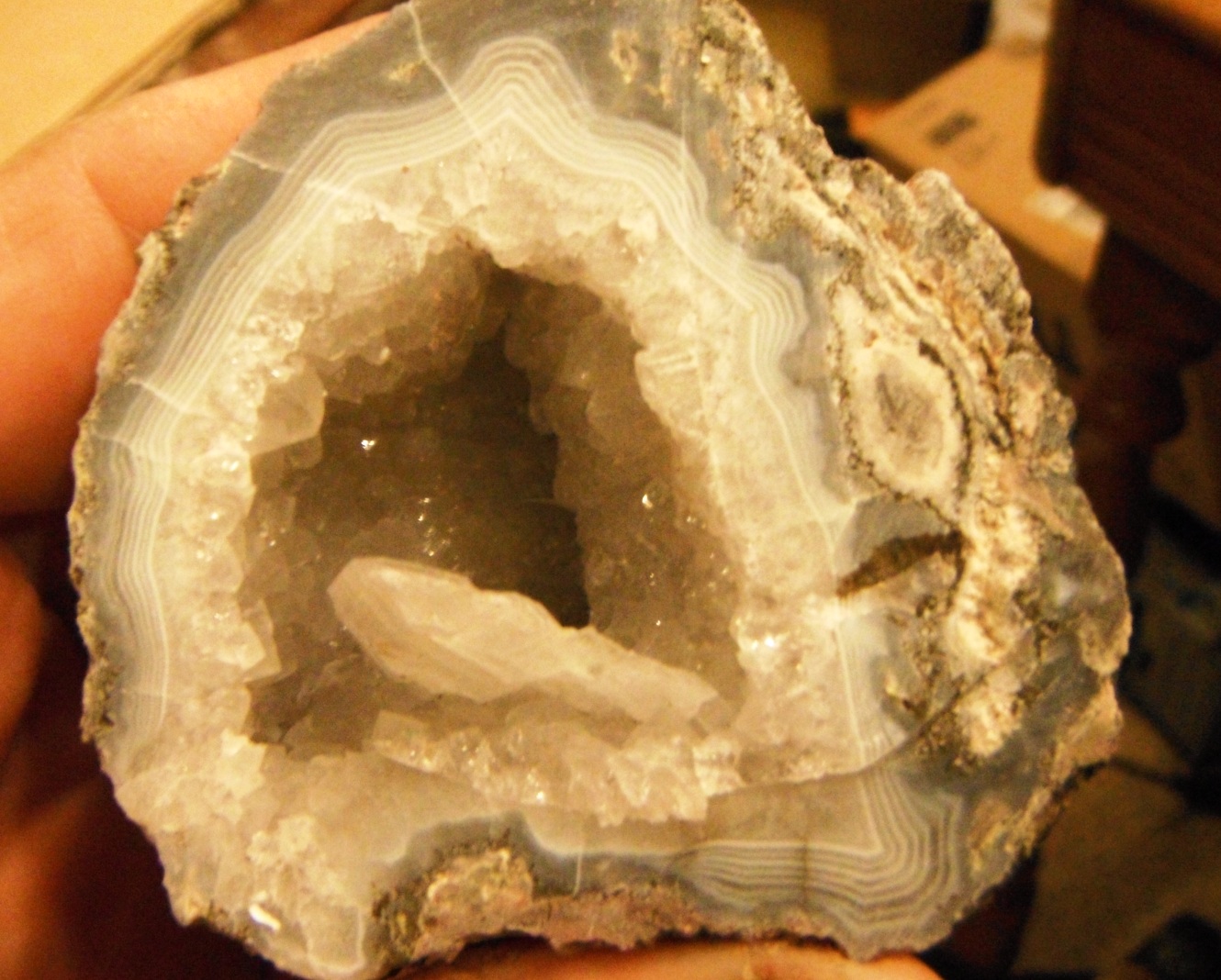 Rockhounding the Rockies: Thunder eggs vs Geodes