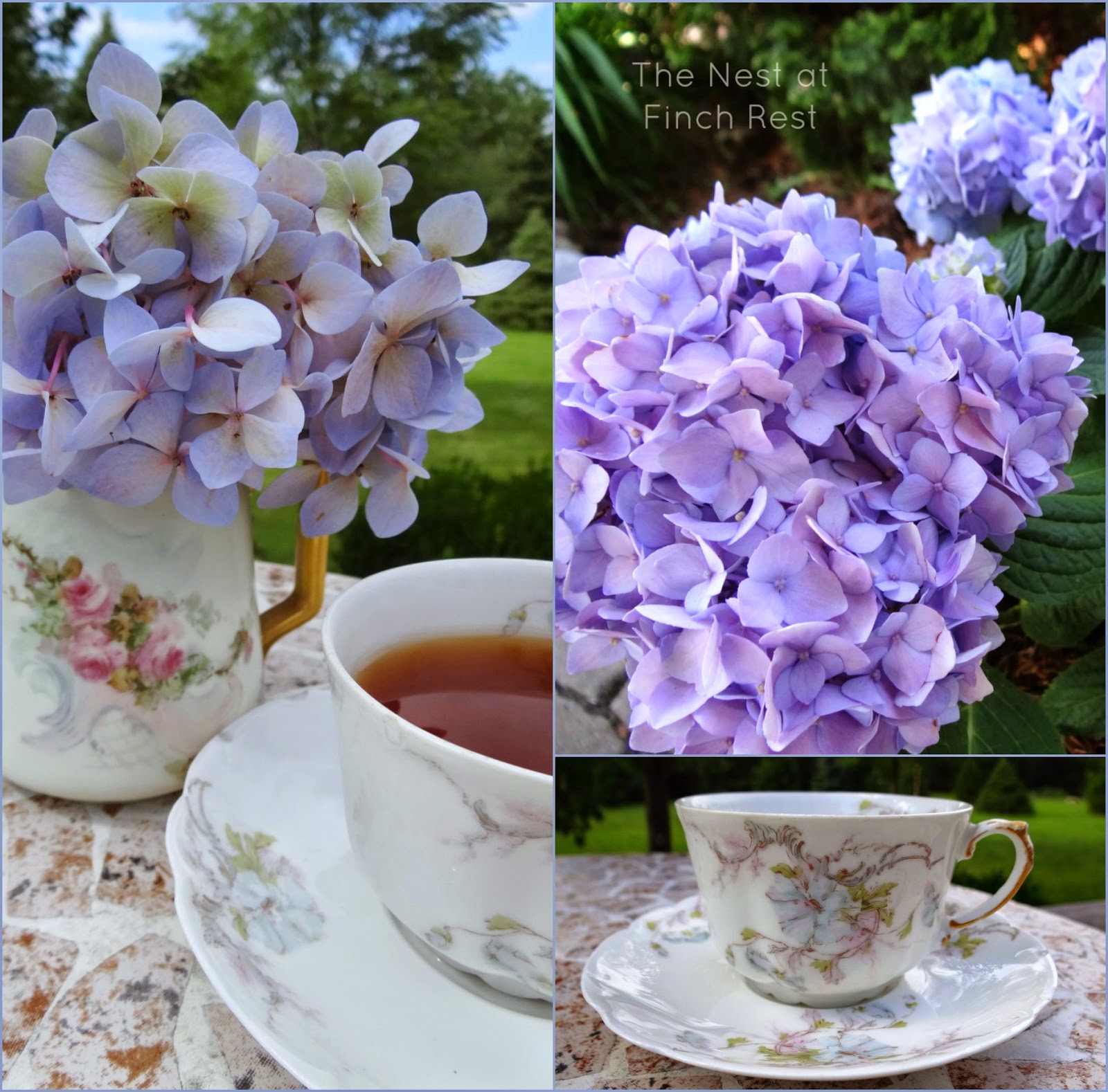The Nest at Finch Rest: Teatime with Cake and Hydrangeas