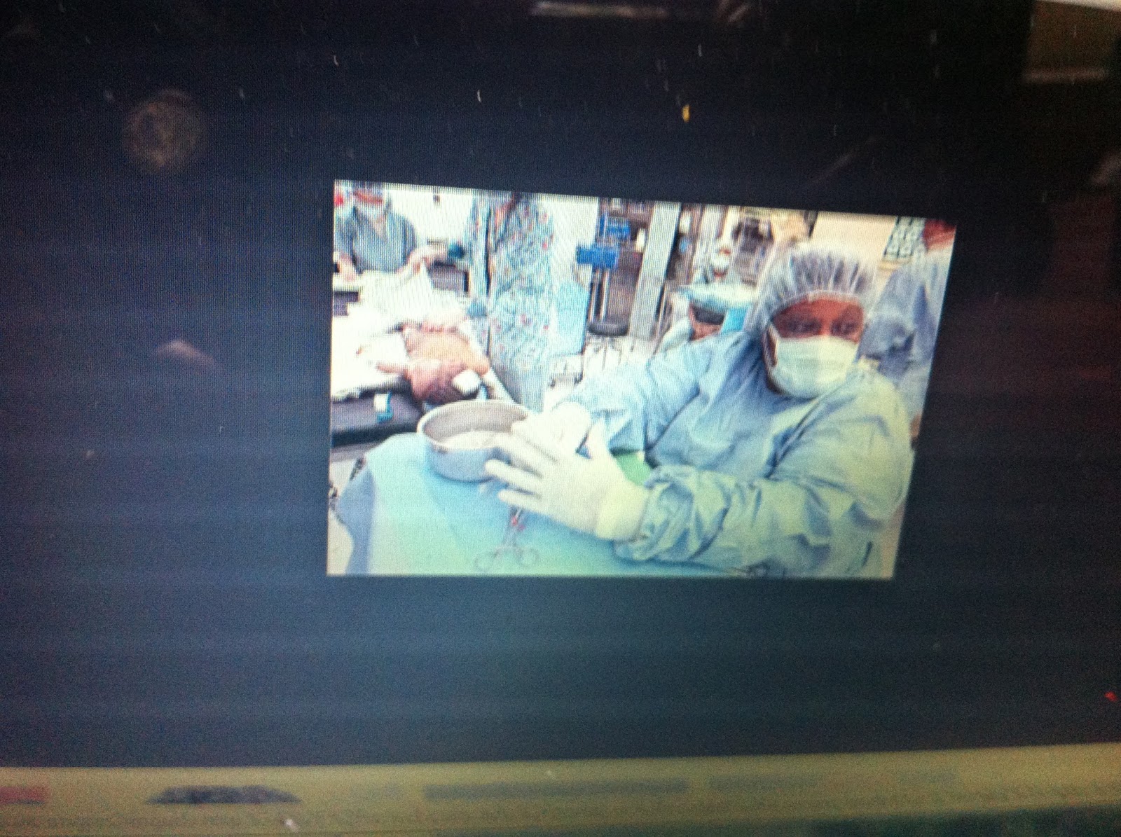 THE BLACK SOCIAL HISTORY:: BLACK SOCIAL HISTORY : AFRICAN AMERICAN ...