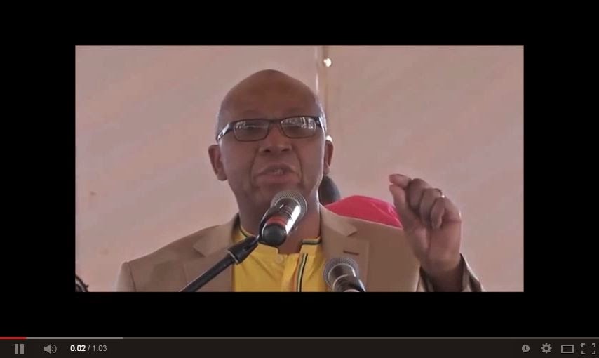 The Truth About South Africa: Kebby Maphatsoe reckons Thuli Madonsela ...