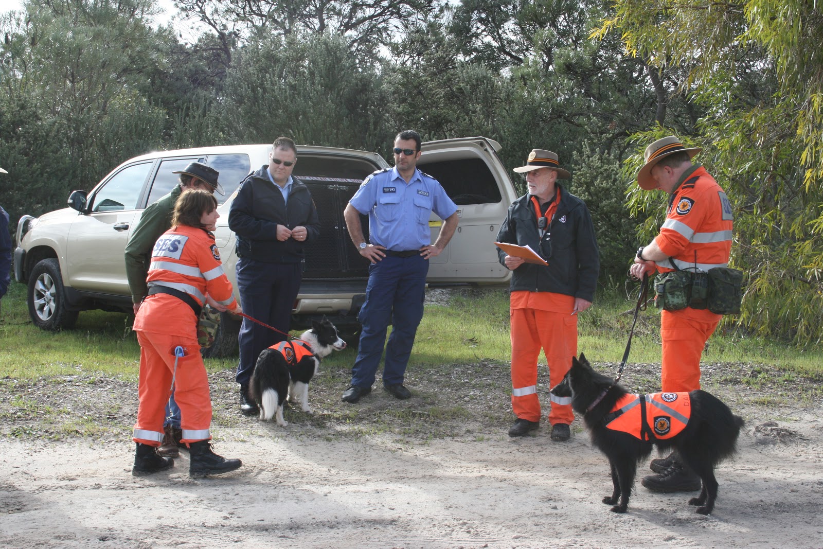 Search and Rescue Dogs Western Australian SES: The WA SES Canine Unit ...