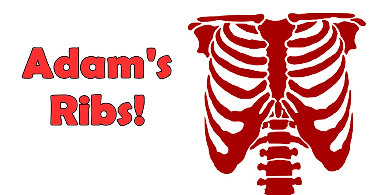 Adam's Ribs - A Short Funny Story 🤣😍