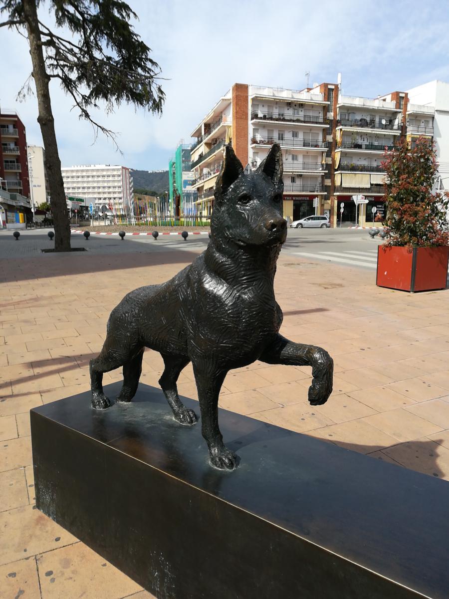 TRESORS a BARCELONA: Llegenda La Llopa de Calella