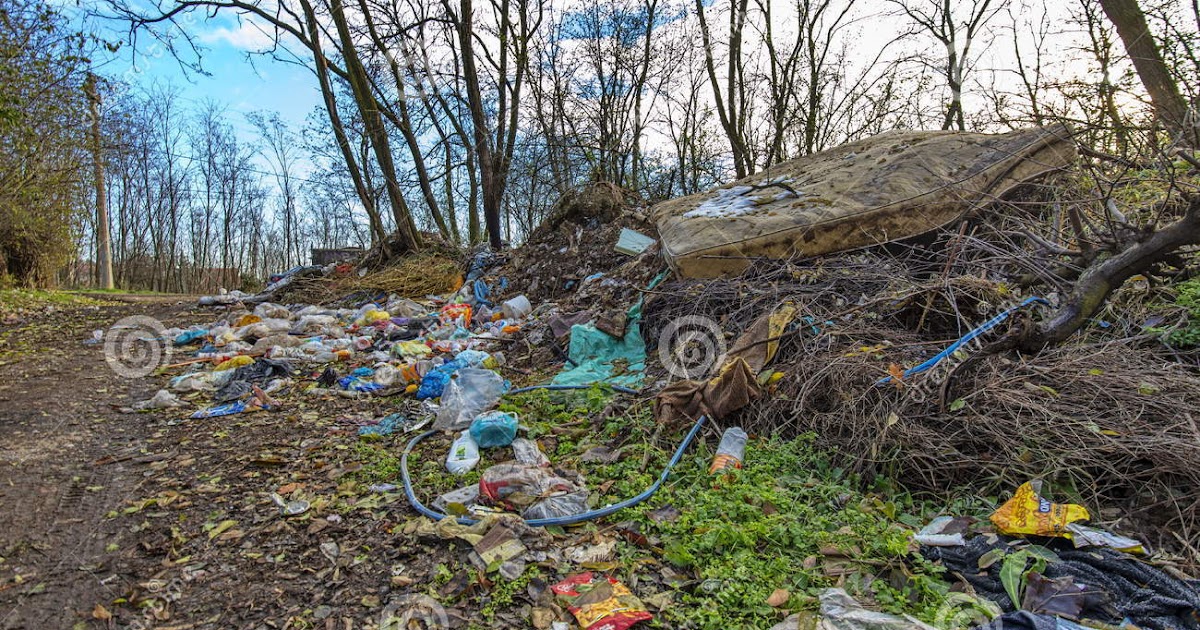 AMIGOS DEL MEDIO AMBIENTE : CONTAMINACIÓN DE LOS BOSQUES