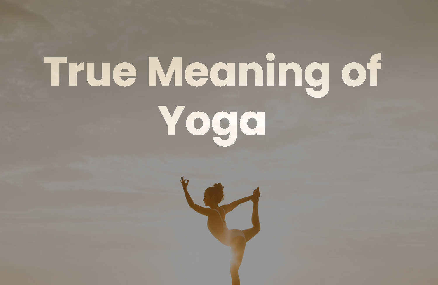 Yoga Asana The True Meaning Of Yoga Search yoga-asana-the-true-meaning-of-yoga-search